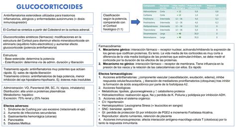SOLUTION Farmacolog A Medicina Veterinaria Studypool