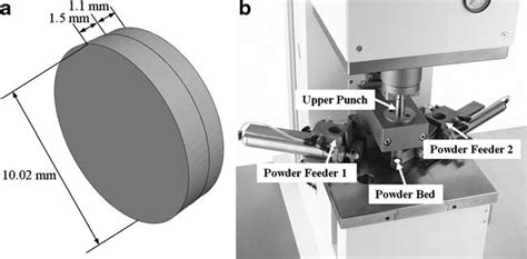 A The Configuration And Dimensions Of A Sample Bilayer Tablet B The