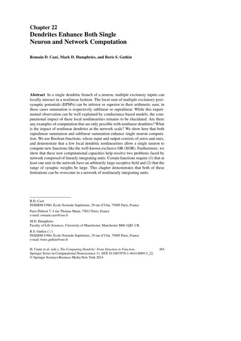 Pdf Dendrites Enhance Both Single Neuron And Network Computation