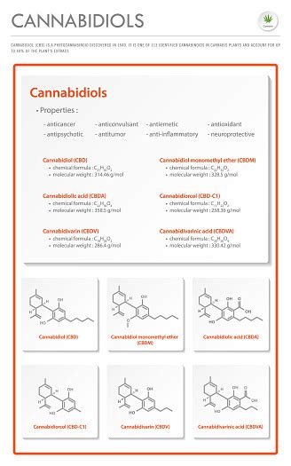 대마초 수직 비즈니스 인포 그래픽구조 공식칸 나비 디올 Cbd 경감에 대한 스톡 벡터 아트 및 기타 이미지 경감 골격근