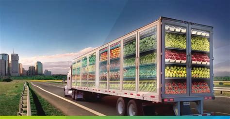 Importance Of Temperature Monitoring For Perishable Goods