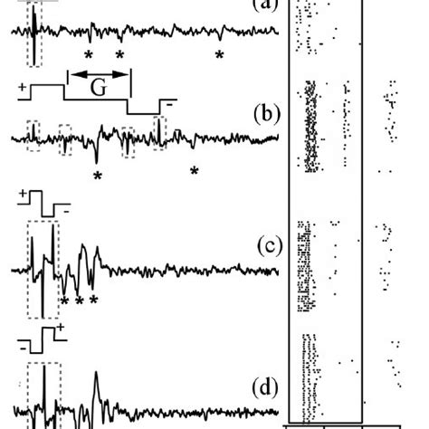 The Left Panels Show Examples Of Recorded Multiunit Activity From Four Download Scientific