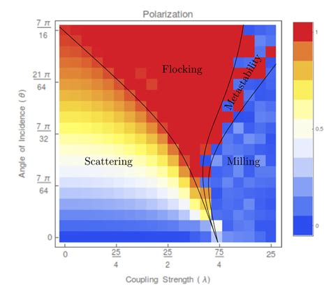 Polarization As A Function Of Collision Angle θ And Coupling Strength Download Scientific
