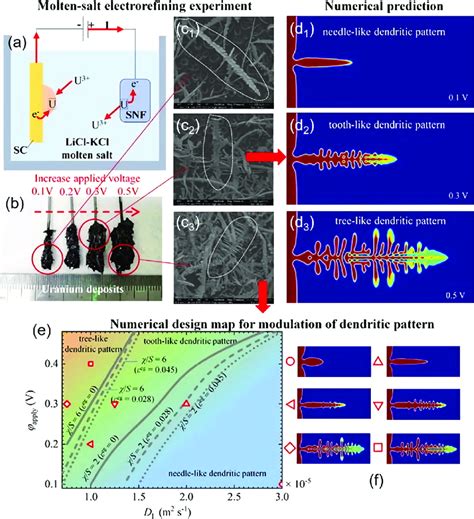 Comparison Of Dendrite Morphology Between Simulation And Experiment A