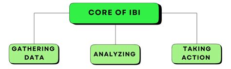 Individual Business Intelligence Overview