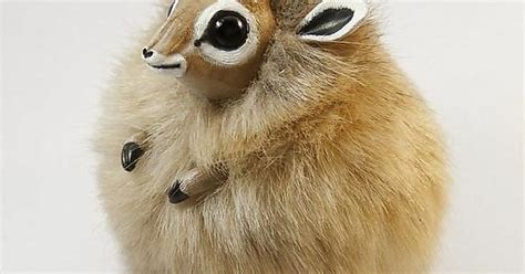 Fluffles Album On Imgur