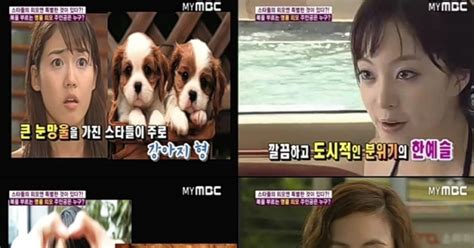 강아지 닮은 Vs 고양이 닮은 미녀스타는 누구