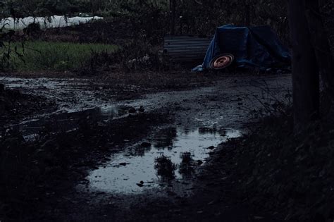 【雨に歌えば】ミルズの気分で眺めるダークな雨 Pentaxの魅力を伝えるペンタファン