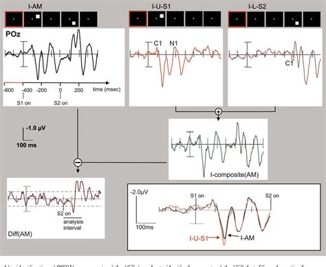 Figure 3 From The Timing Of Feedback To Early Visual Cortex In The Perception Of Long Range