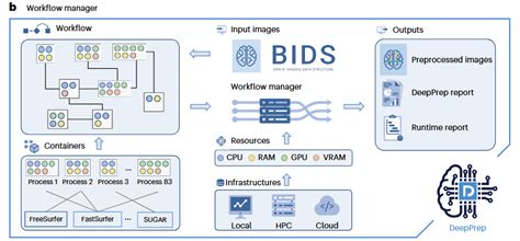 【deepprep从入门到入土】第一章 简介与安装mri数据预处理freesurferfslafnispm） Csdn博客