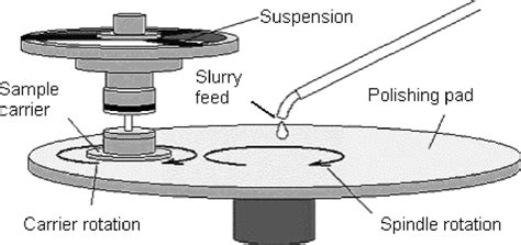 Schematic Diagram Of The Cmp Process Download Scientific Diagram