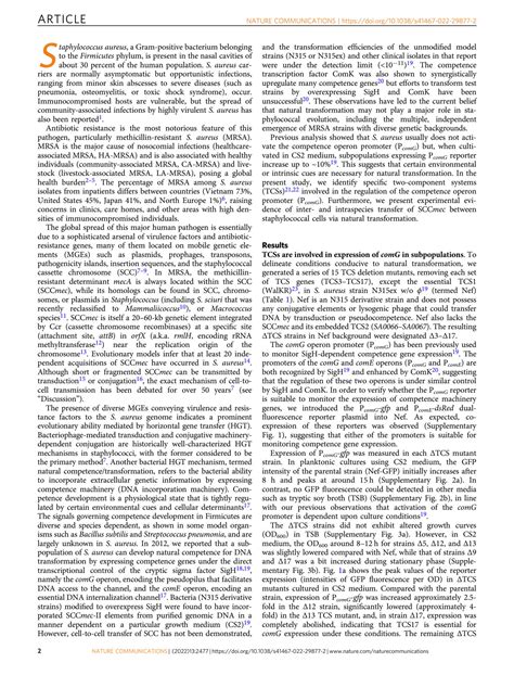 Solution Natural Transformation Allows Transfer Of Sccmec Mediated Methicillin Resistance In