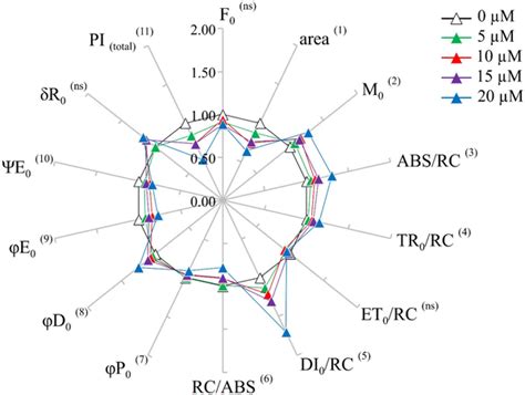 parameters of the jip test in function of concentration of cytokinins