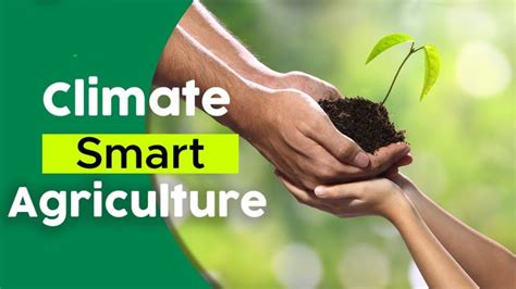 Cairo Center For Development Benchmarking Cdb On Linkedin Kindly Share