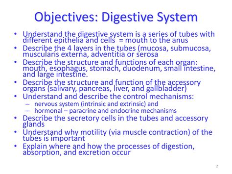Digestive System Ppt Ppt