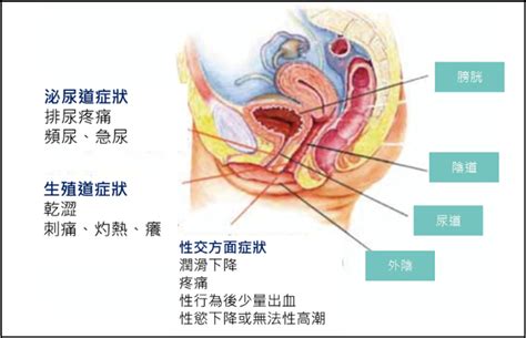 全球資訊網 郭綜合醫院