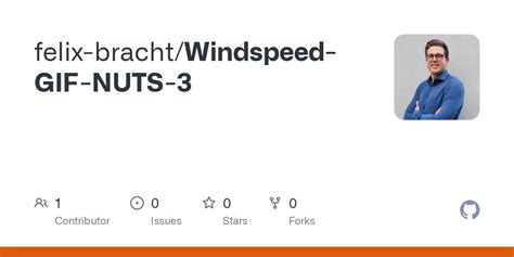 GitHub Felix Bracht Windspeed NUTS