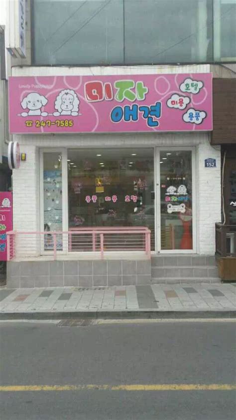 미자애견 대구광역시 남구 애견동반 미용