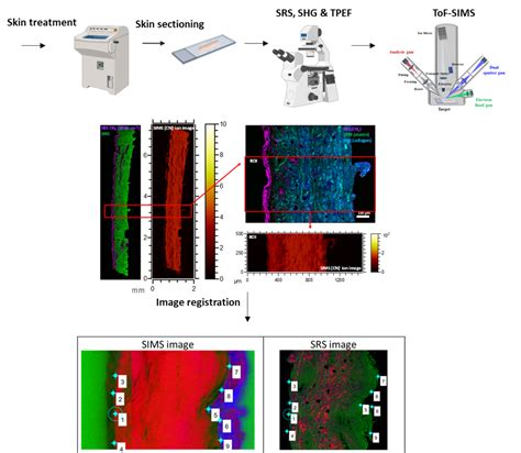 Correlative Optical Spectroscopy And Mass Spectrometry Imaging