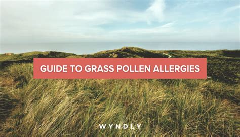Grass Pollen Allergy Cause Symptoms Treatment 2025 And Wyndly