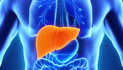 Australia Gives Nod To A New Cholangiocarcinoma Treatment