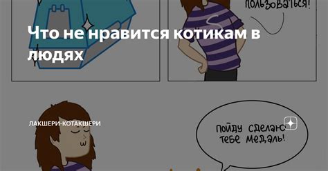 Что не нравится котикам в людях Лакшери Котакшери Дзен
