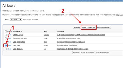 how to reset a salesforce user s password [screenshots]