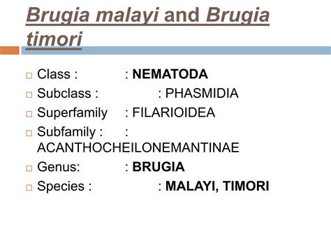 Filaria Microbiology Pptx