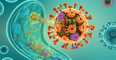 Sansure Innovating Diagnostics For All