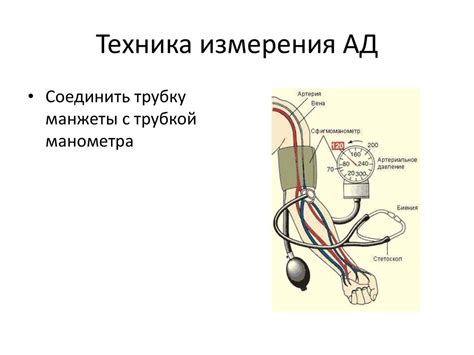 Измерение артериального давления презентация онлайн