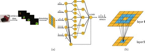 A Schematic Diagram Of The Lgmd Model Constructed By The Spiking Neural