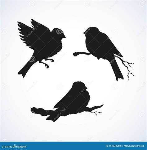 Vector Drawing Tits Stock Vector Illustration Of Forest 114074050