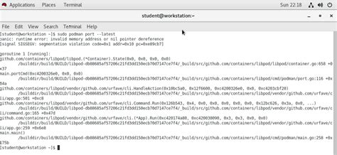 Crashes When Listing Port Mapping For Latest But Removed Container Issue Containers