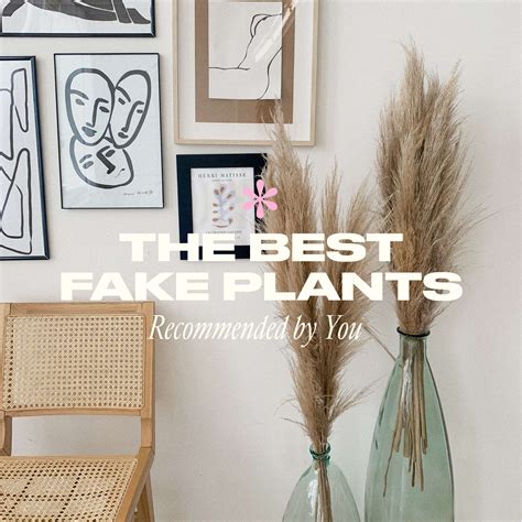 The Best Fake Plants Recommended By You The Skinny Confidential