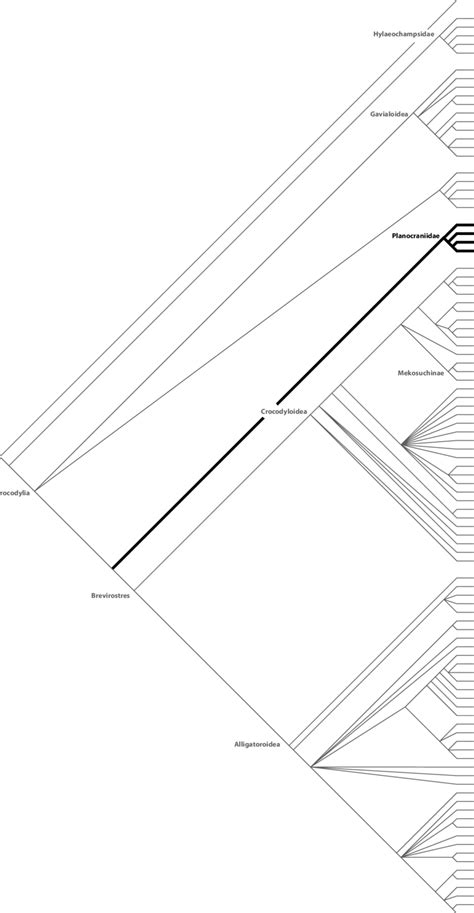 strict consensus of 5044 equally optimal trees recovered from maximum