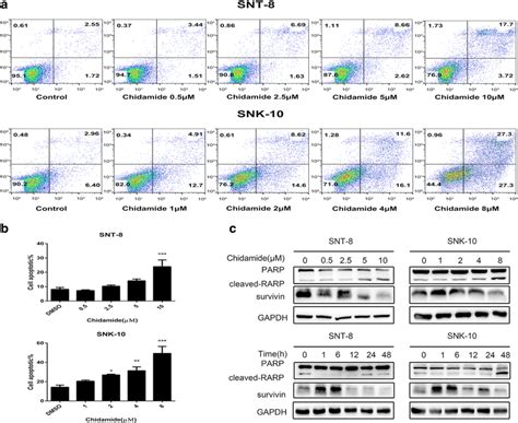 Chidamide Induced Nktcl Cell Lines Apoptosis Through Download