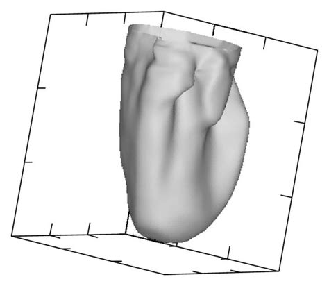 Multiple Views Of The Parametric B Spline Surface Fitted To The Edge Of Download Scientific