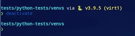 Python Виртуальные среды — это просто