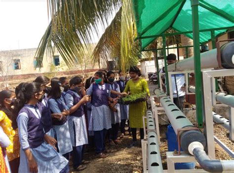 Hydroponics Structure Design Innovation Center