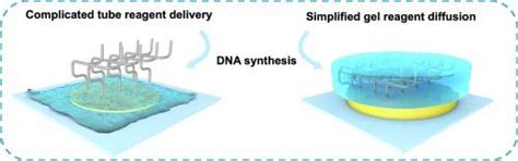 Gel Based Electrochemical DNA Synthesis For Quasi Solid State Data