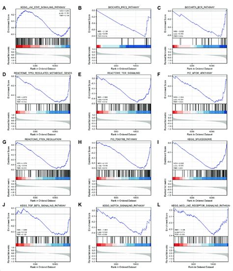Gsea Enrichment Analysis Of 4 Gene Diagnostic Model A Download