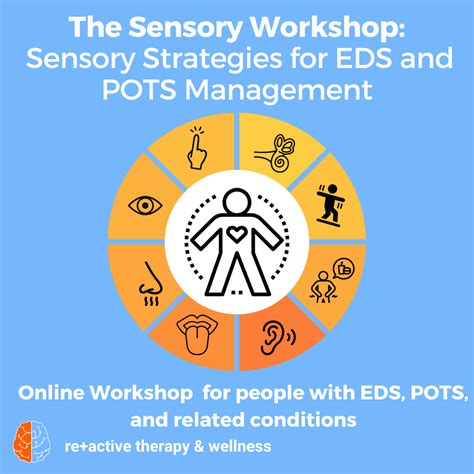 Zebra Sensory Workshop