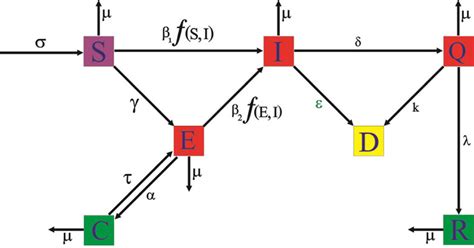 Flow Chart Of The Model Download Scientific Diagram