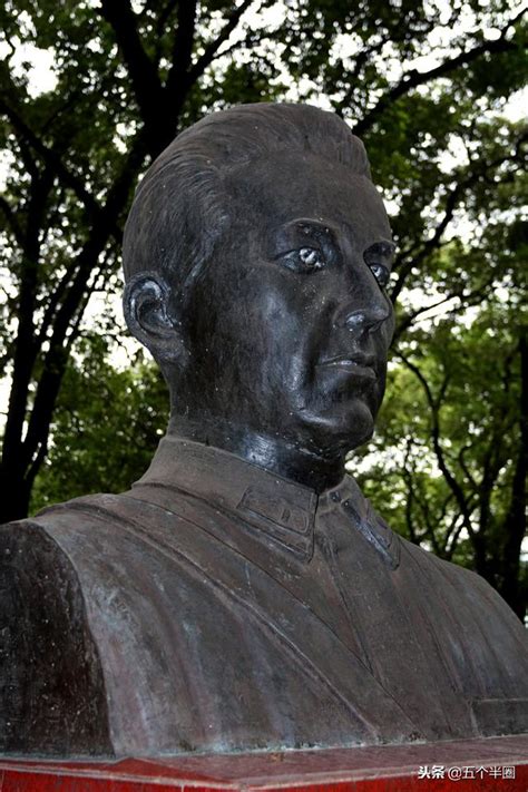 在蔣某躲在重慶挨日軍大轟炸的歲月，蘇聯人卻幫中國轟炸日軍基地 每日頭條