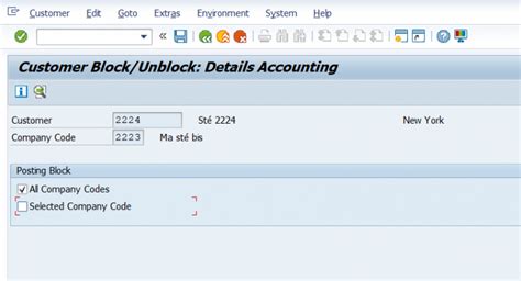 How To Block Unblock Customer Master Record In Sap Sap Tutorials