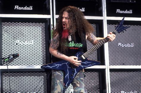 Dimebag Darrell Guitar