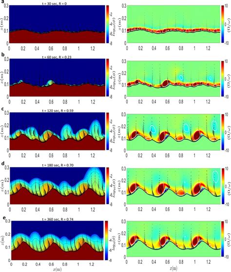 Snapshots Of Sediment Concentration Field Left Panels And Normalized