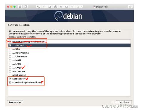 Debian 无桌面 QT运行环境 debian不安装图形界面 CSDN博客