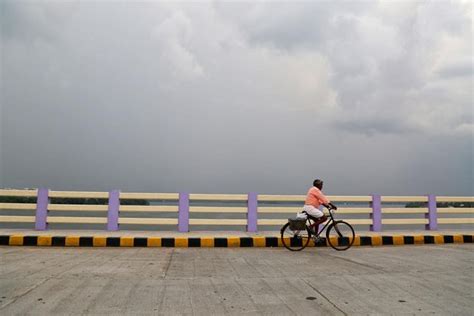 Monsoon Rainfall Sowing Deficit Narrows Moderately Paddy Still A