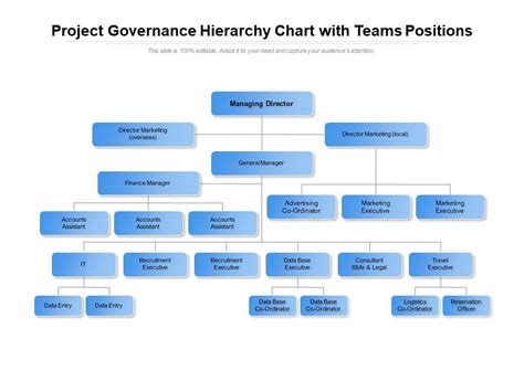 Project Governance Hierarchy Chart With Teams Positions Ppt PowerPoint Presentation File Background